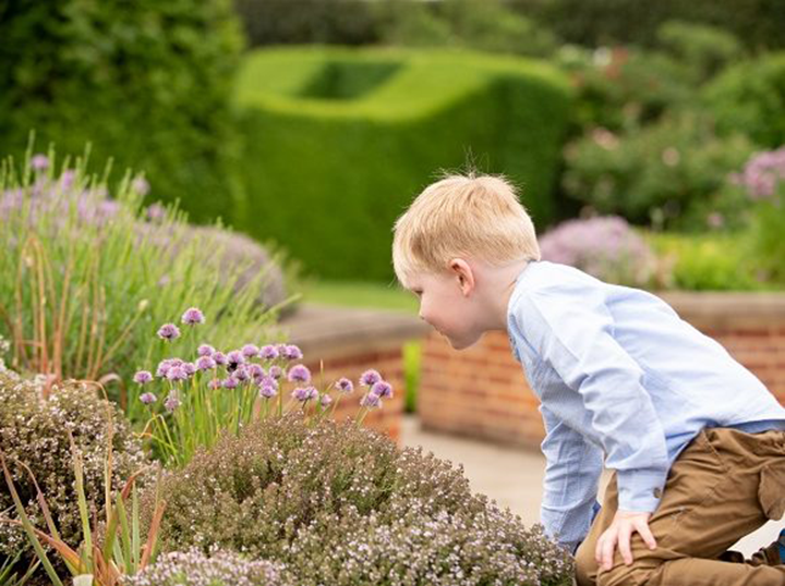 Game Fair Gardens Legacy - Hatfield Park